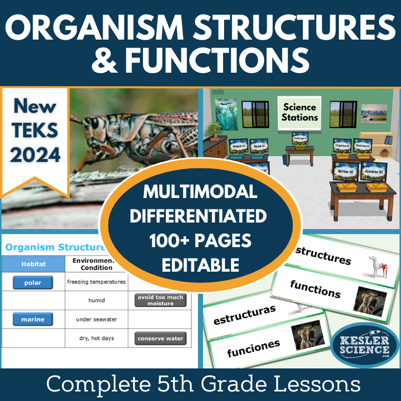 TEKS 5.13A Organism Structures & Functions for 5th Grade Science